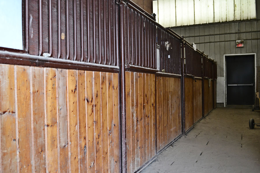 Galleries | Calgary Shrine Stables